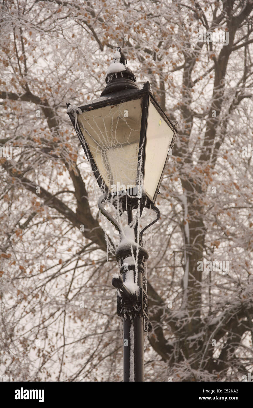 An old fashioned Victorian lamp post with bare winter trees and a ...