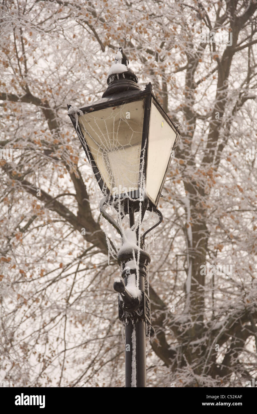 An old fashioned Victorian lamp post with bare winter trees and a ...