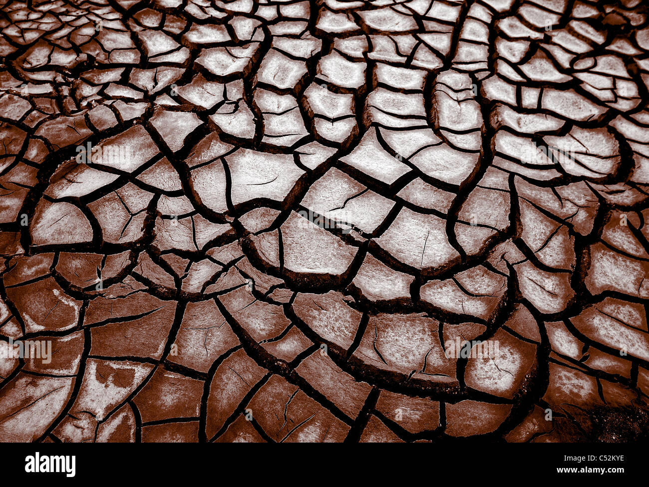 dry cracked muddy surface of the bottom of a dried out lake Stock Photo ...