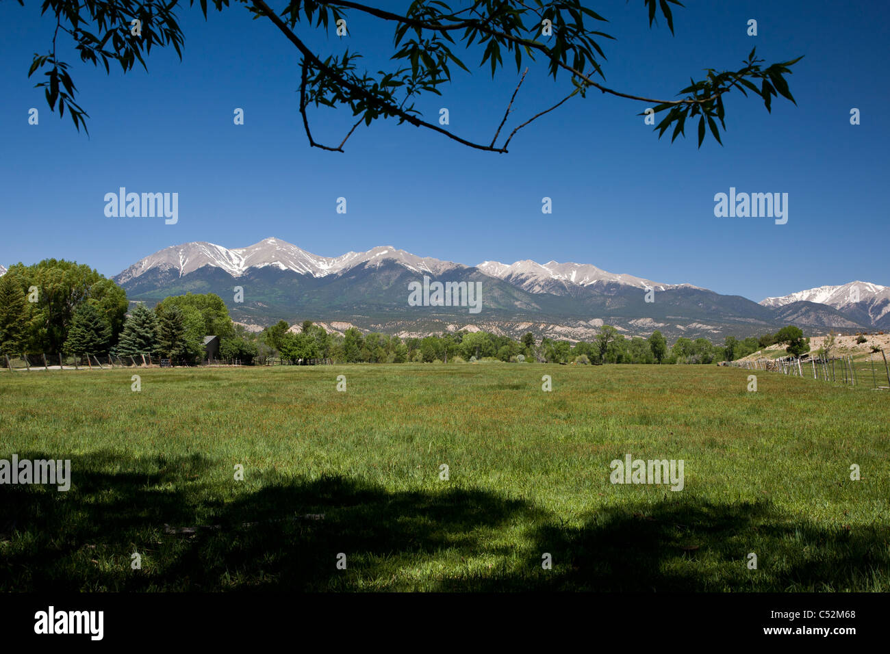Mount Shavano during early summer featuring Angel of Shavano snow drift ...