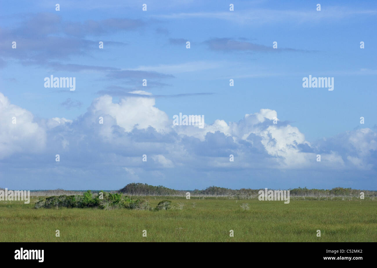 Enp everglades national park hi-res stock photography and images - Alamy