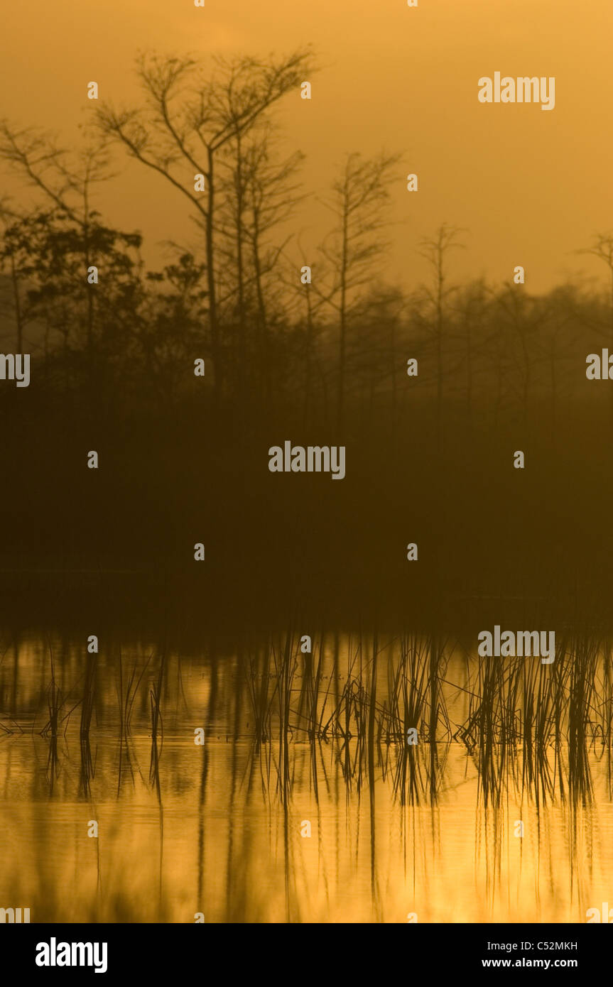 Everglades National Park ENP landscape wetlands Stock Photo - Alamy