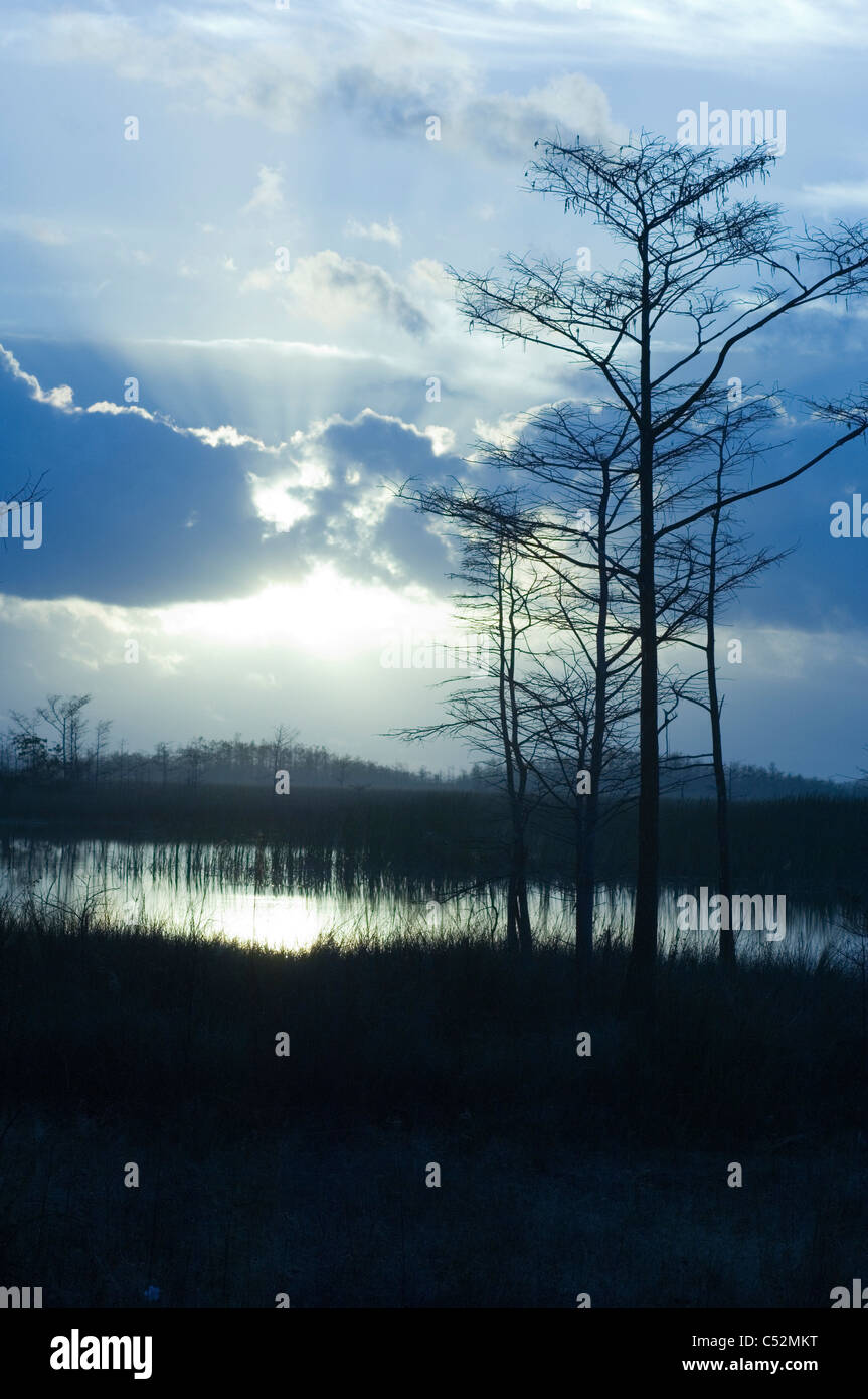 Everglades National Park ENP landscape wetlands Stock Photo - Alamy