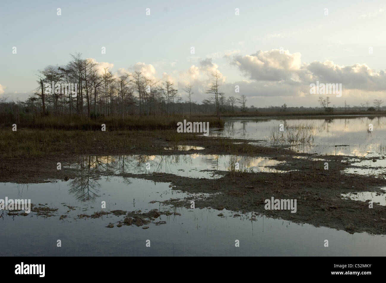 Everglades National Park ENP landscape wetlands Stock Photo - Alamy