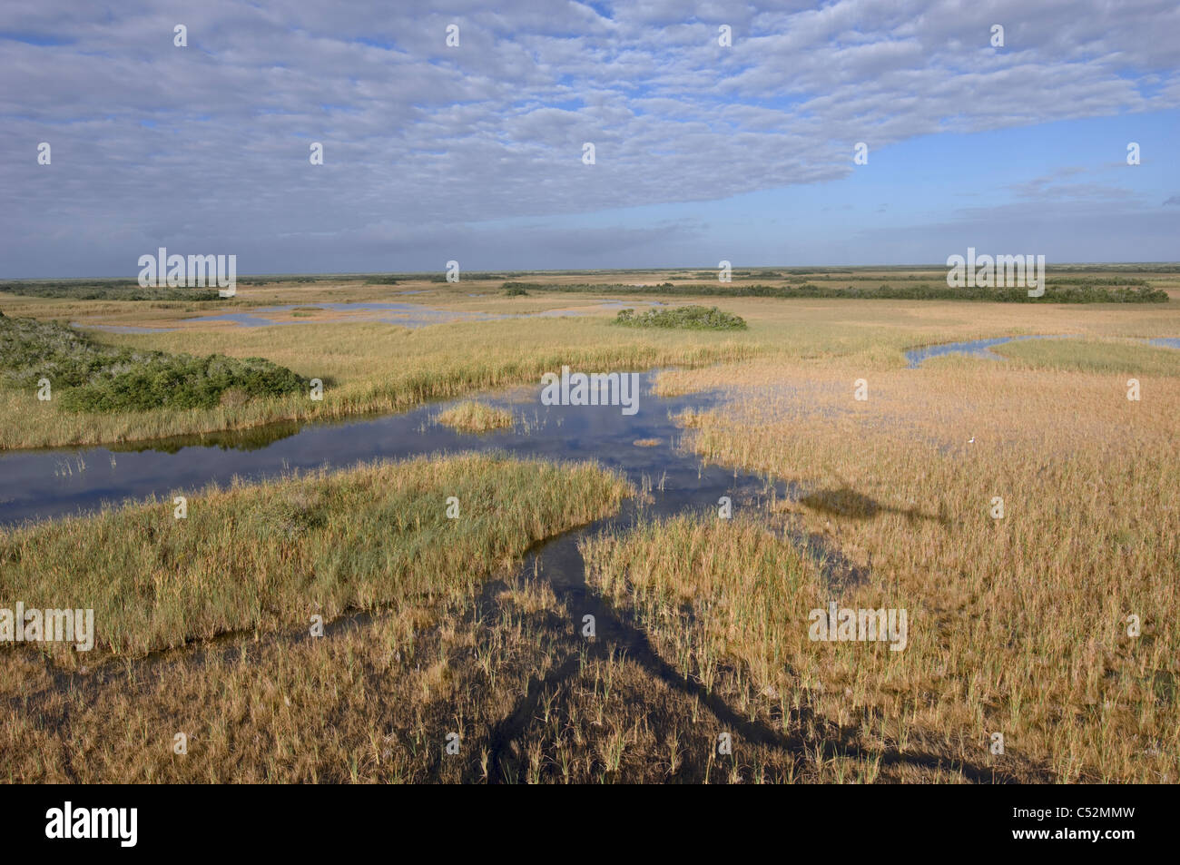 Everglades National Park landscape FL Florida aerial scenic Stock Photo ...