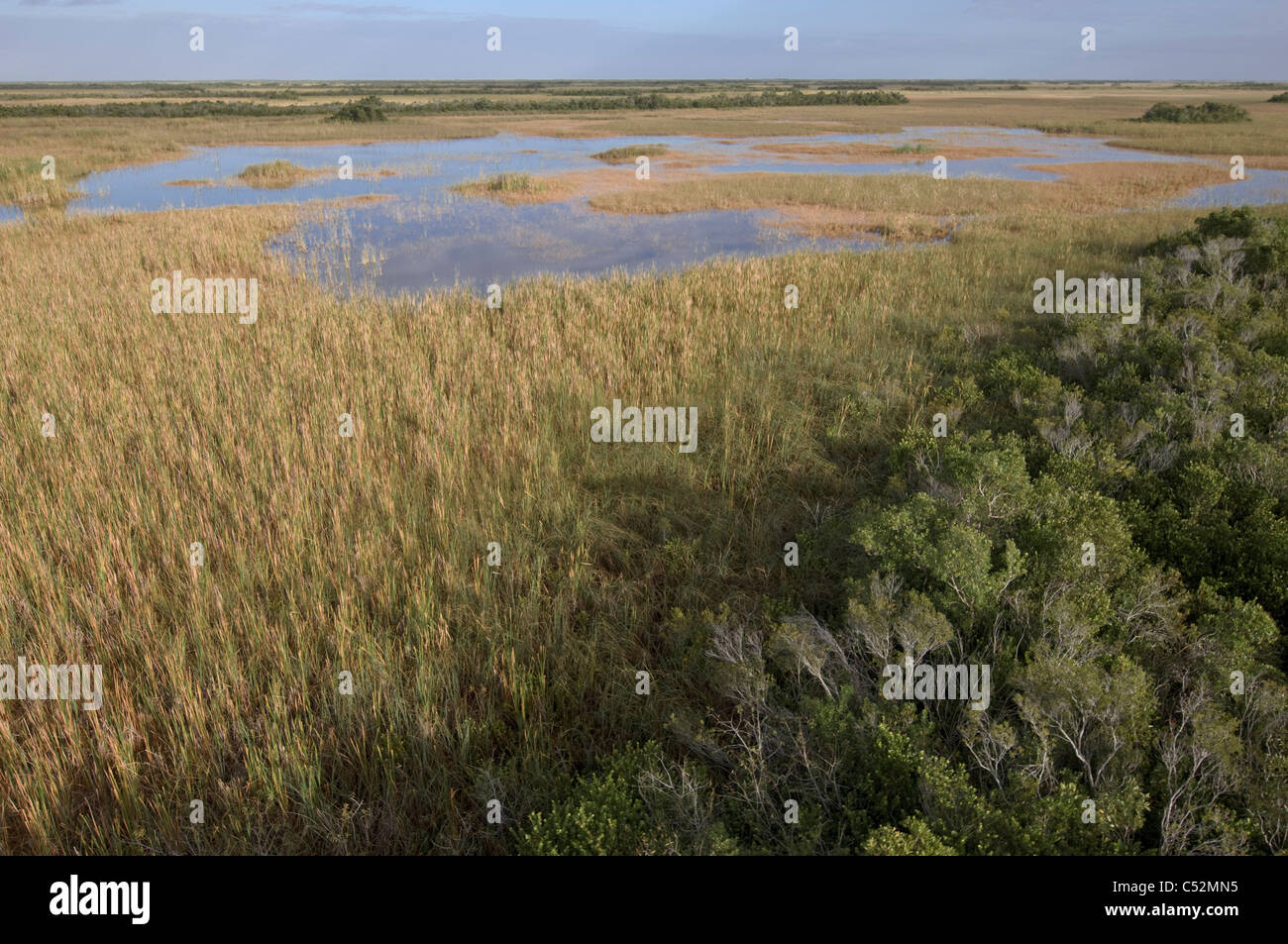 Everglades National Park landscape FL Florida aerial scenic Stock Photo ...