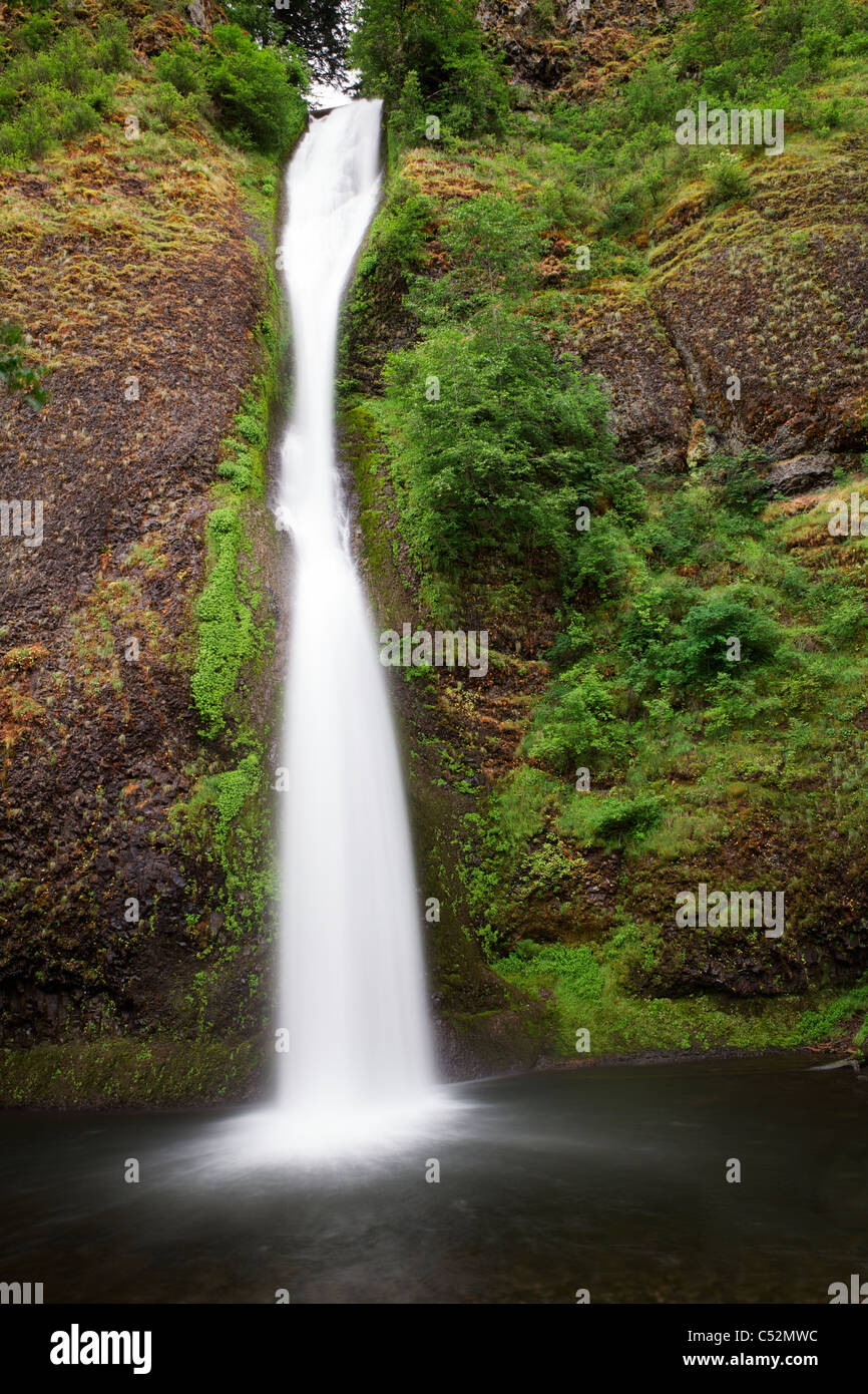Narrow frothy waterfall bordered by red rock, moss, and green plants ...