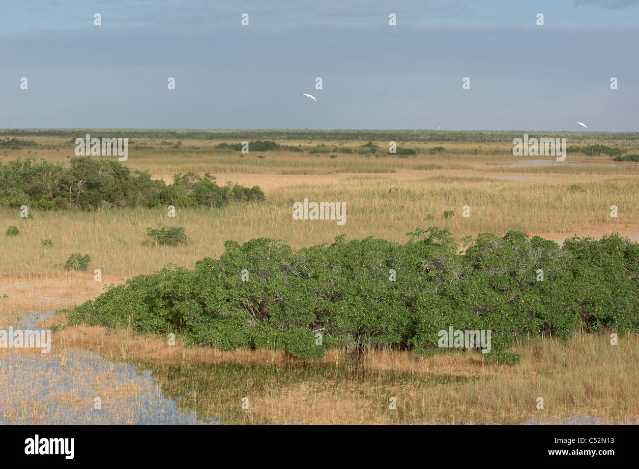 Everglades National Park landscape FL Florida aerial scenic Stock Photo ...