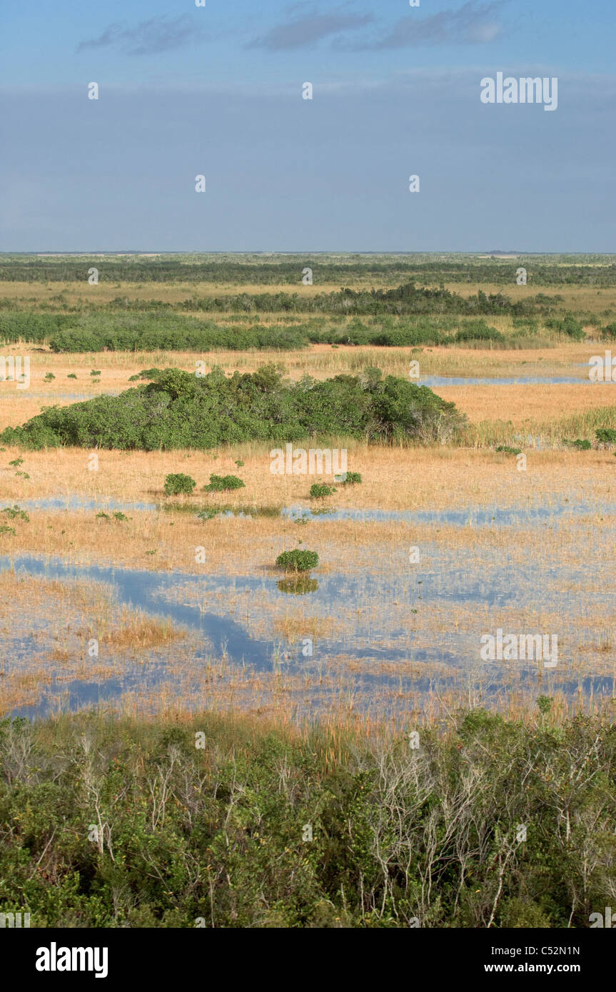 Everglades National Park landscape FL Florida aerial scenic Stock Photo ...