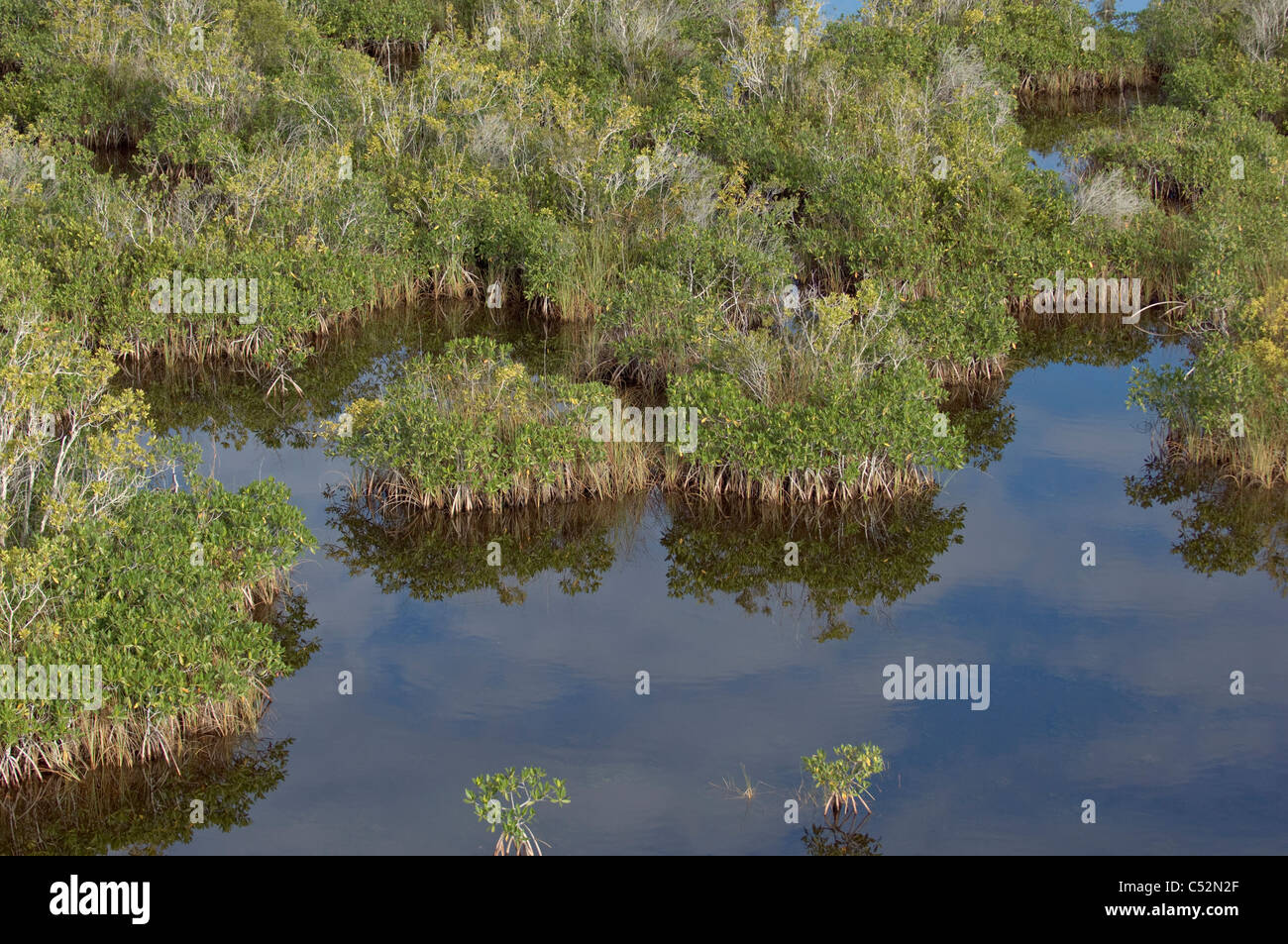 Everglades National Park landscape FL Florida aerial scenic Stock Photo ...