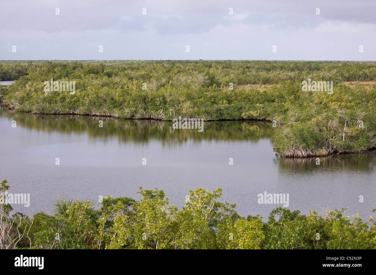 Everglades National Park landscape FL Florida aerial scenic Stock Photo ...