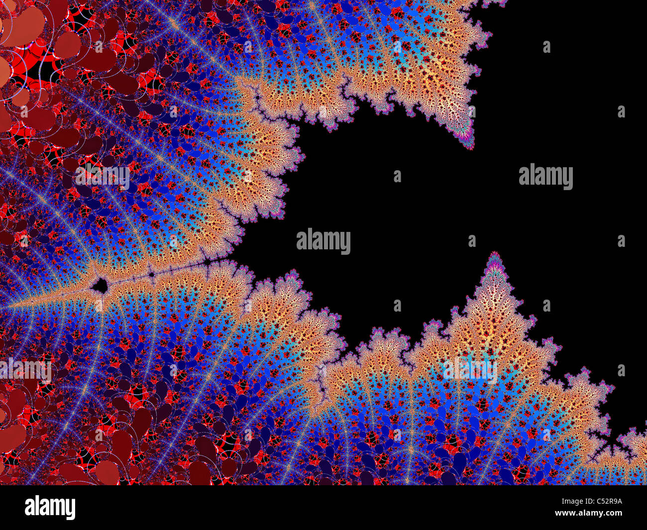 Computer Generated Fractal From Deep Within The Mandelbrot Set Stock ...