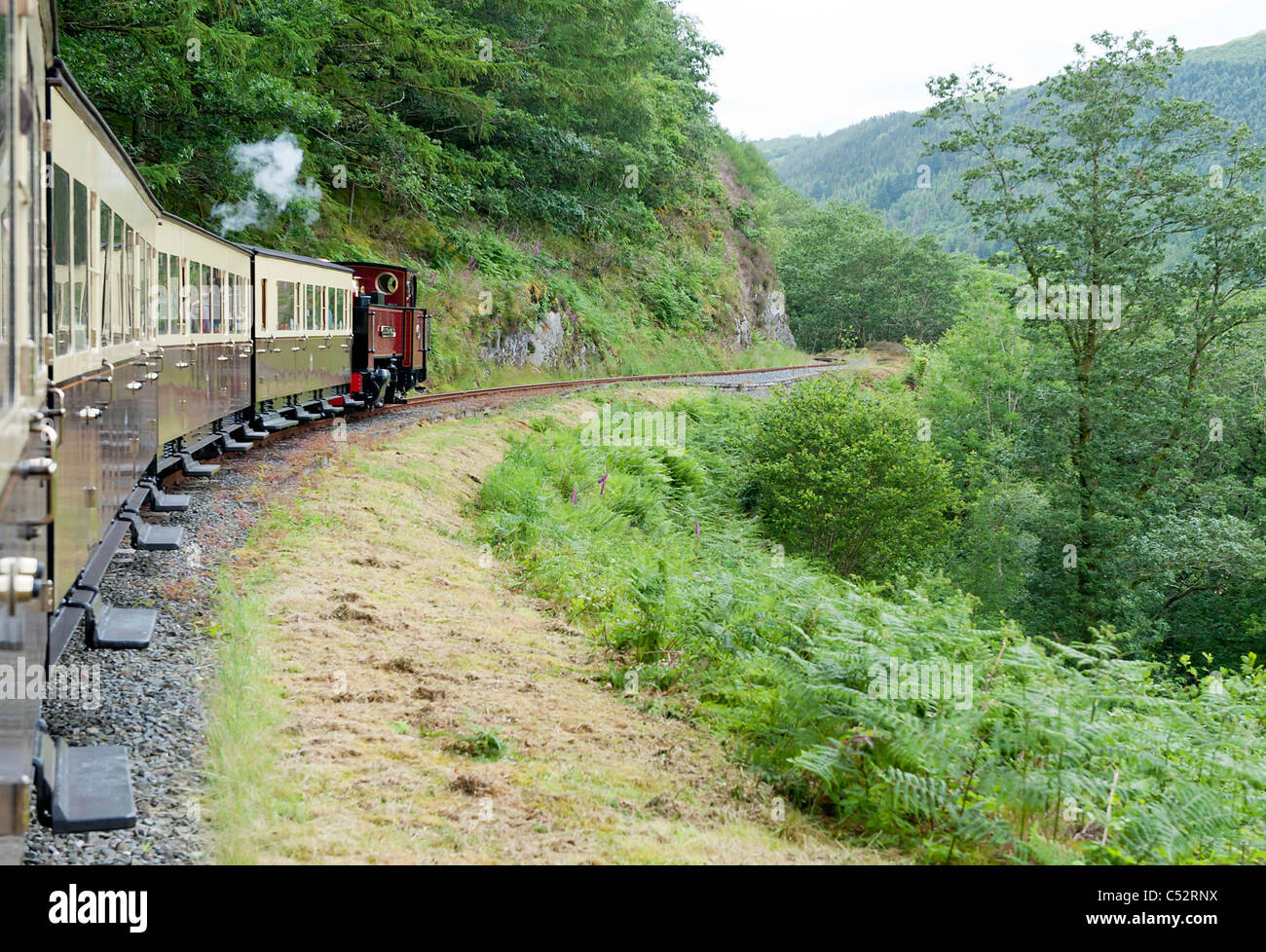 Vale of Rheidol Railway line between Aberystwyth and Devils Bridge ...