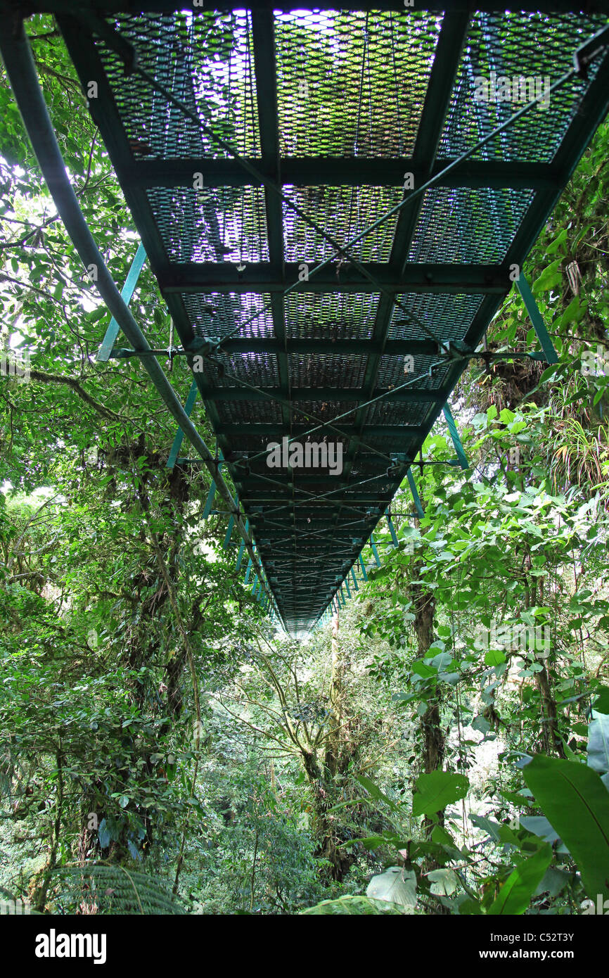 One of the bridges over the cloud forest tree canopy at Monteverde ...