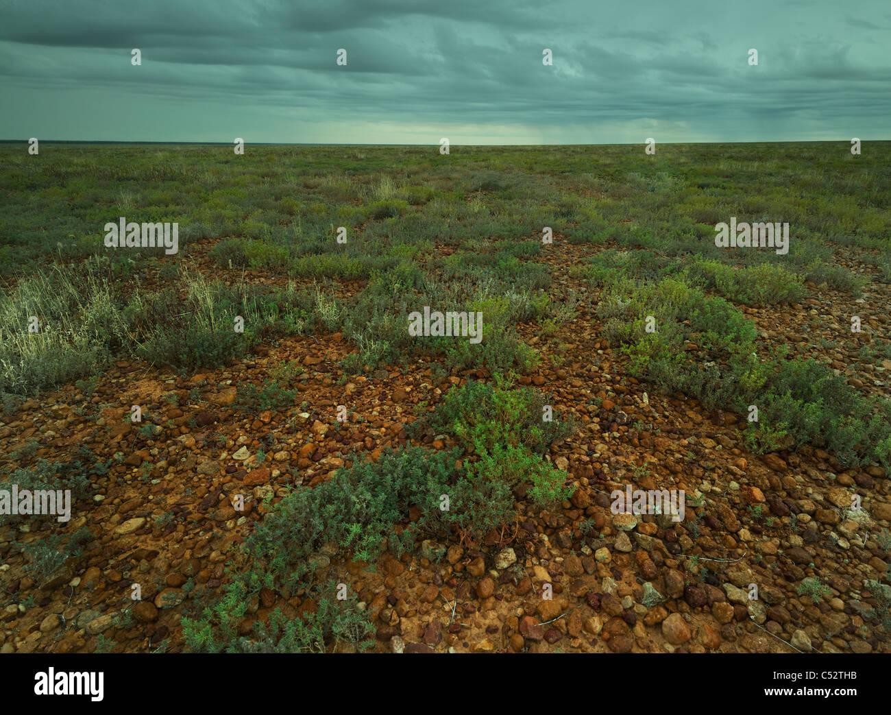 Gibber plains of Sturt National Park, Corner country near Tibbooburra ...