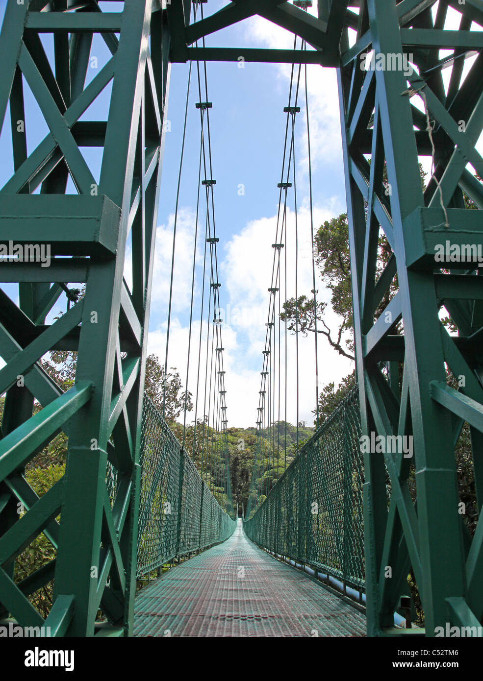 One of the bridges over the cloud forest tree canopy at Monteverde ...