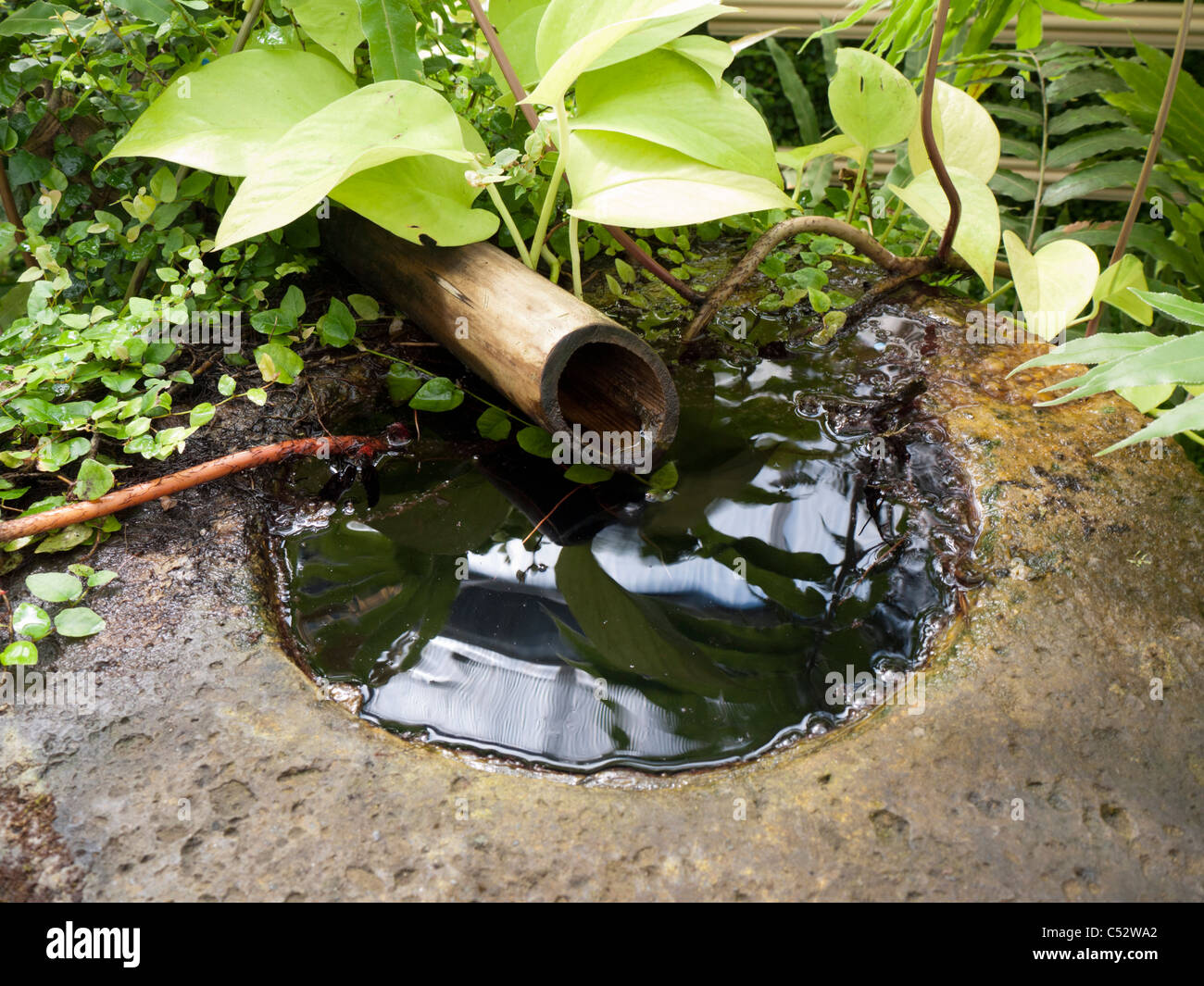 Detail at Balinese Garden at Garten der Welt in Marzahn district of ...