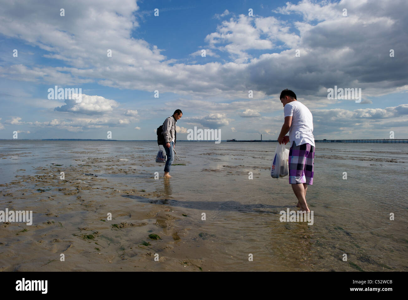Chinese Cockle Pickers High Resolution Stock Photography and Images - Alamy