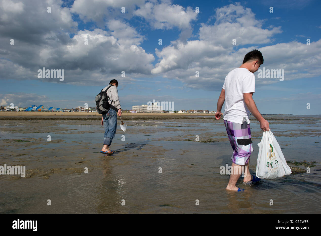 Cockle Gathering High Resolution Stock Photography and Images - Alamy
