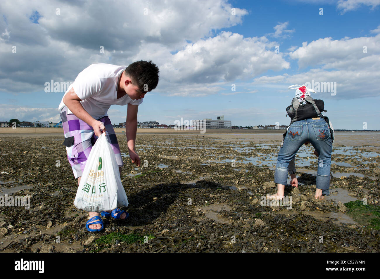 Two Chinese males in their twenties gathering cockles and other ...