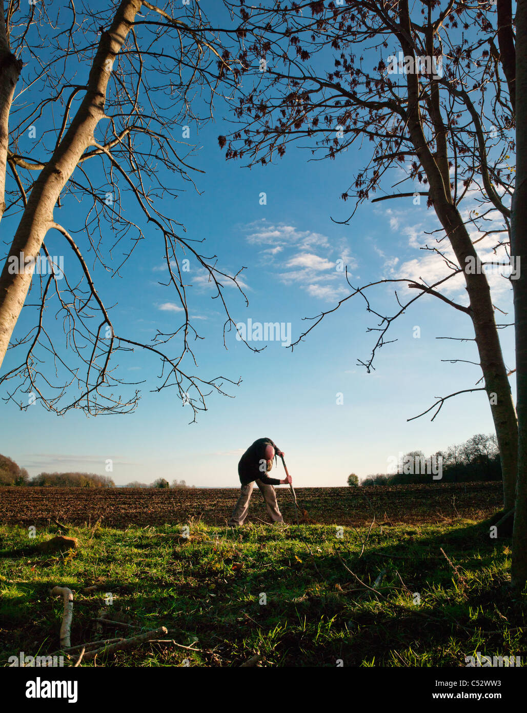 man digging in field Stock Photo - Alamy