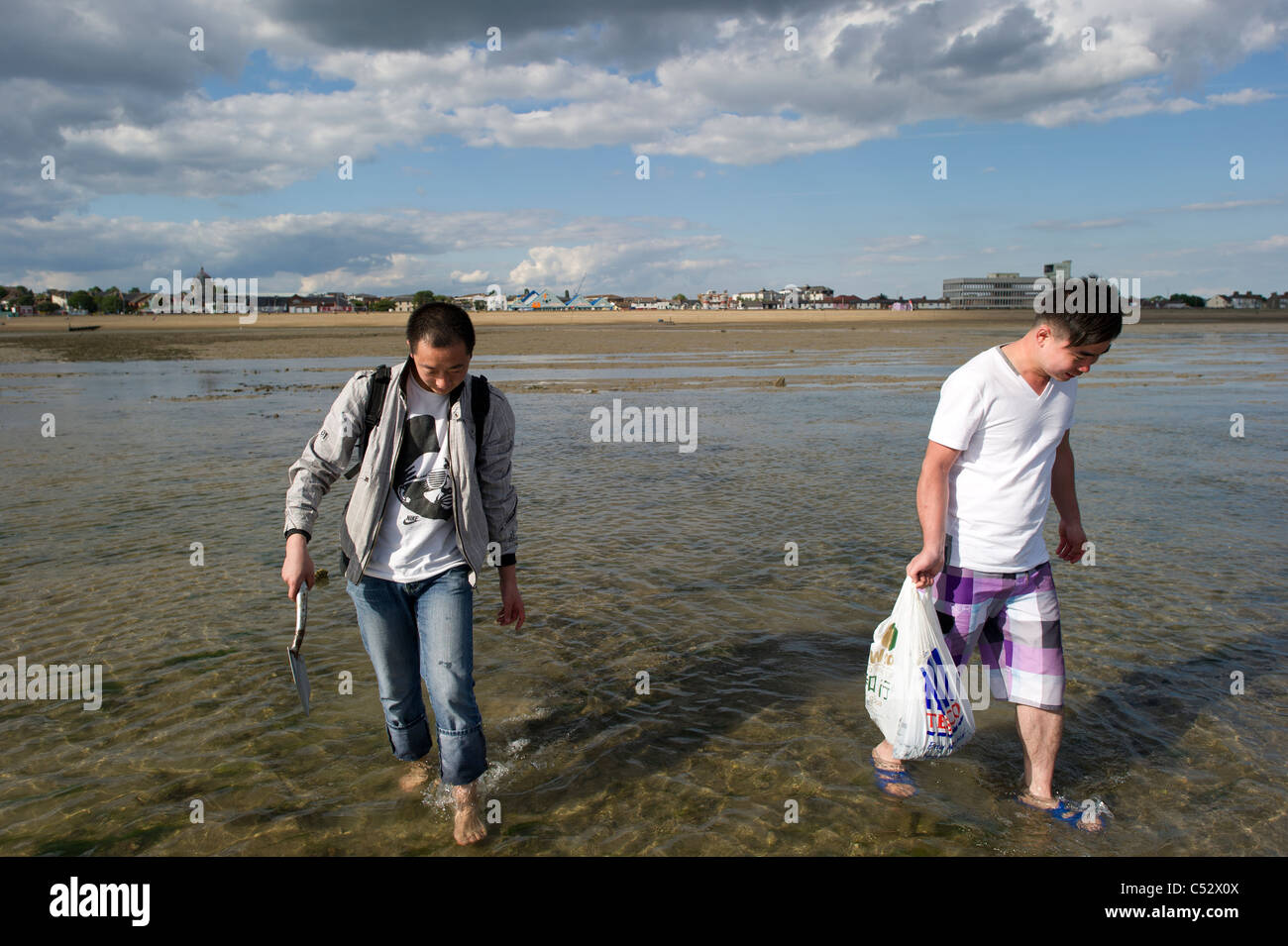 Two Chinese males in their twenties gathering cockles and other ...