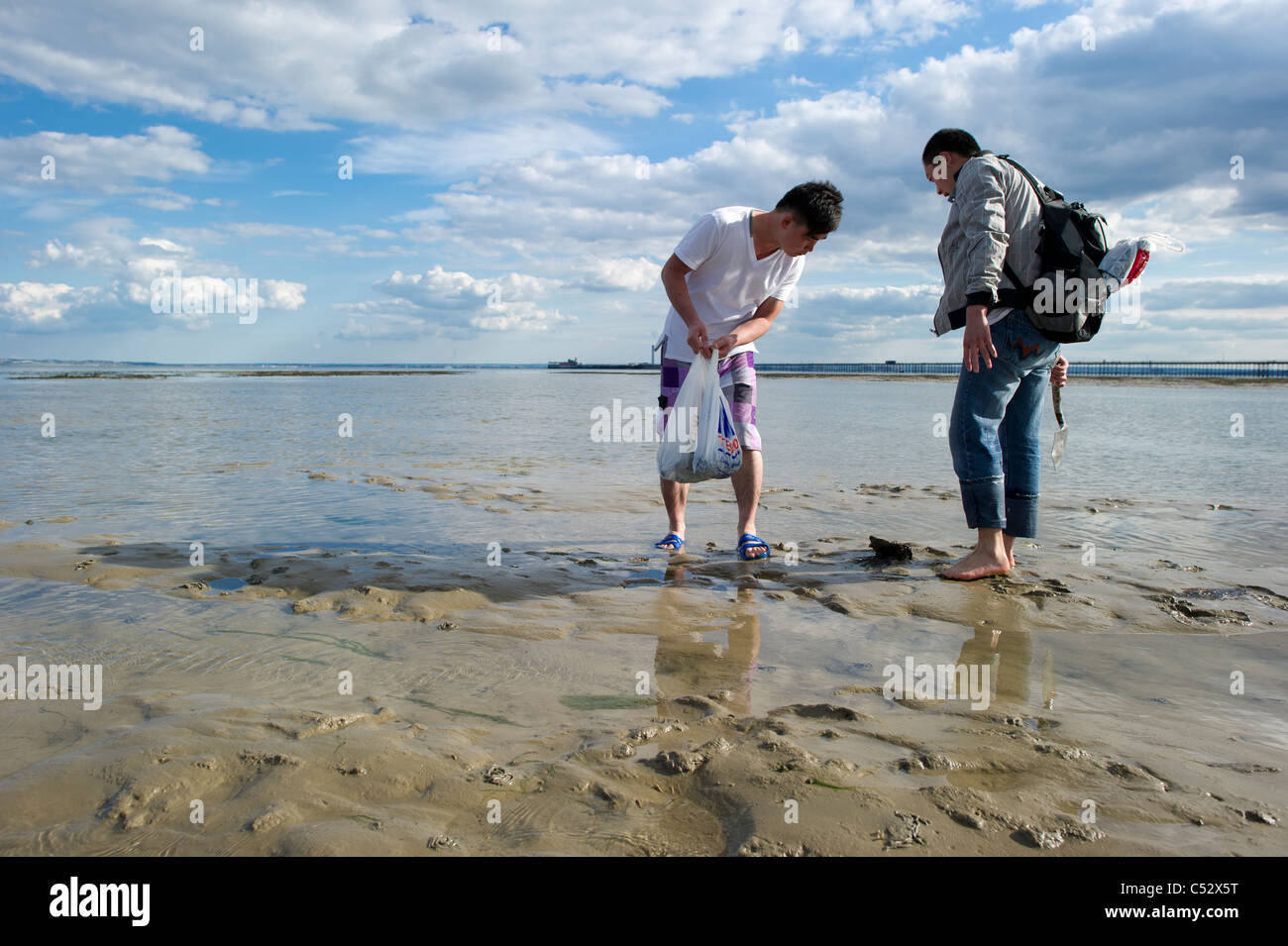 Two Chinese males in their twenties gathering cockles and other ...