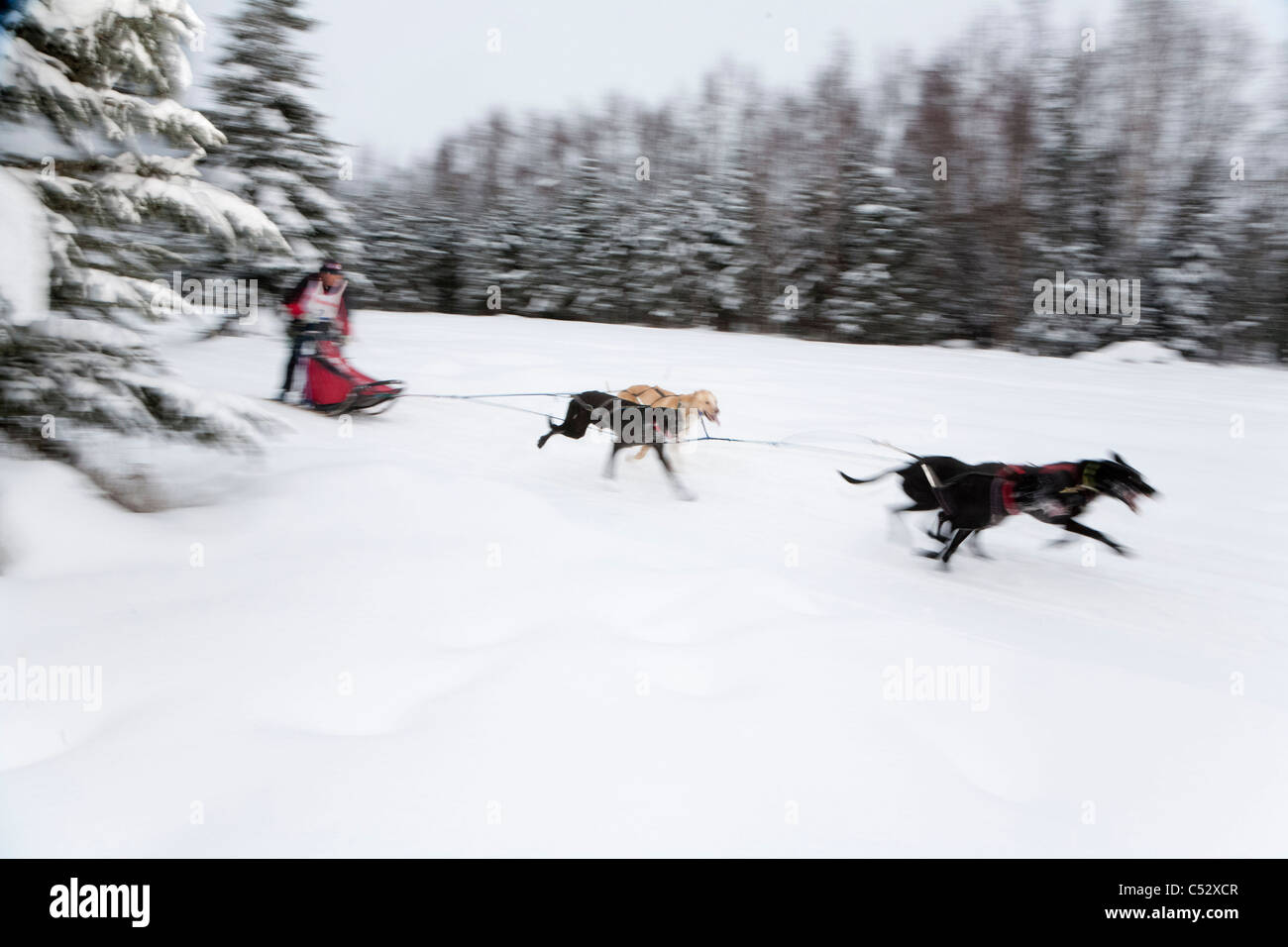 Open Personality High Resolution Stock Photography and Images - Alamy