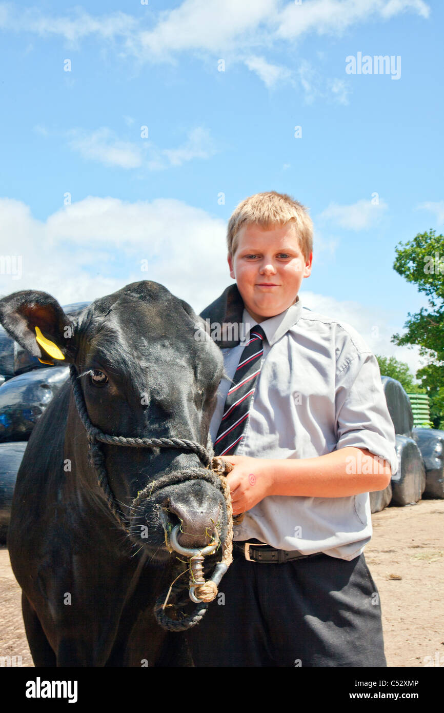 Calf angus hi-res stock photography and images - Alamy