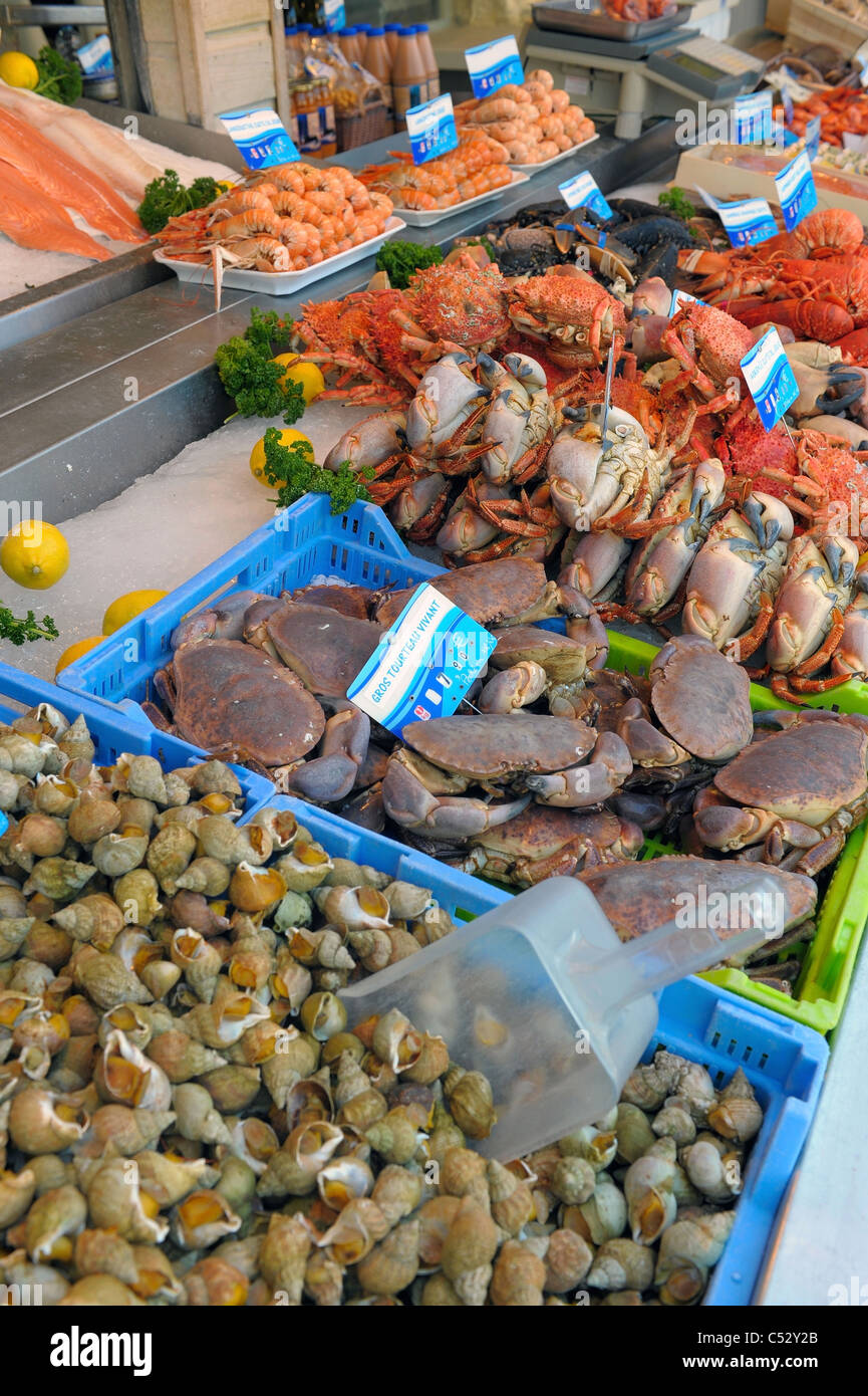Show-window of seafood in the sea market Stock Photo - Alamy