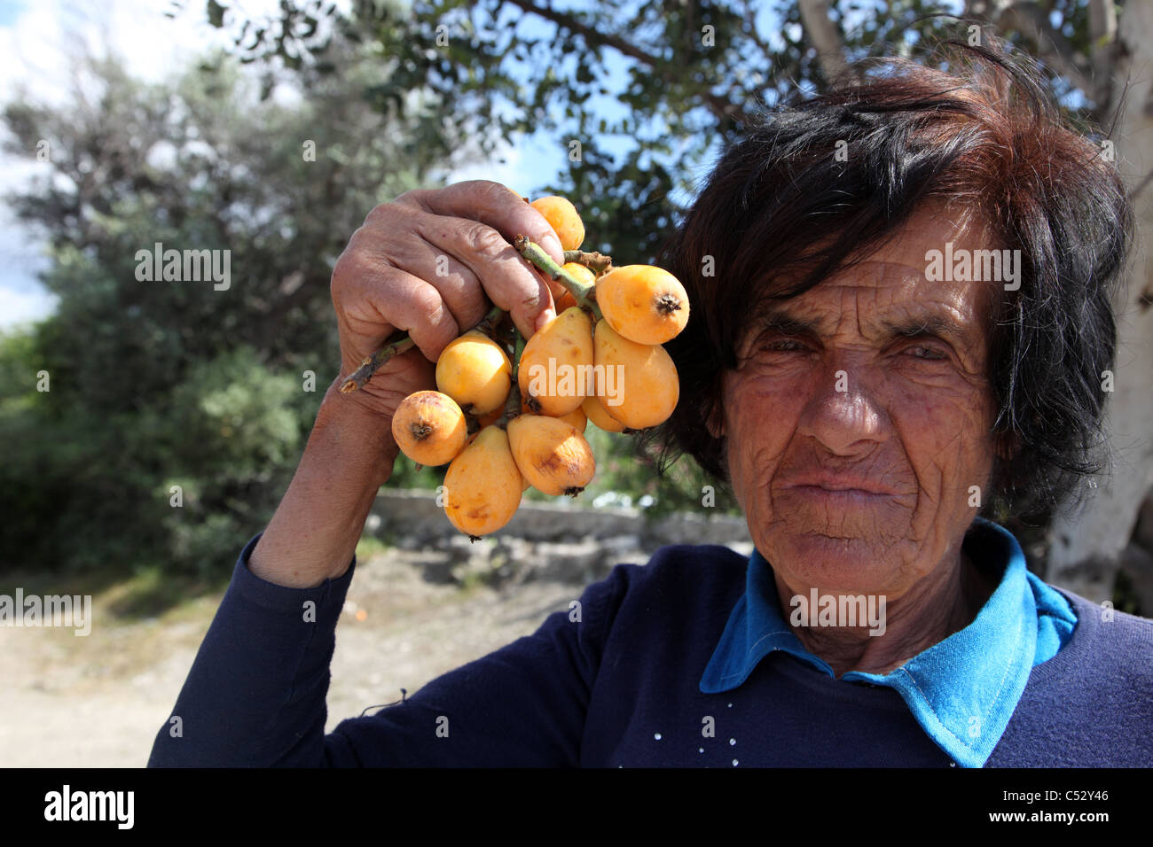 Cyprus fruit hi-res stock photography and images - Alamy