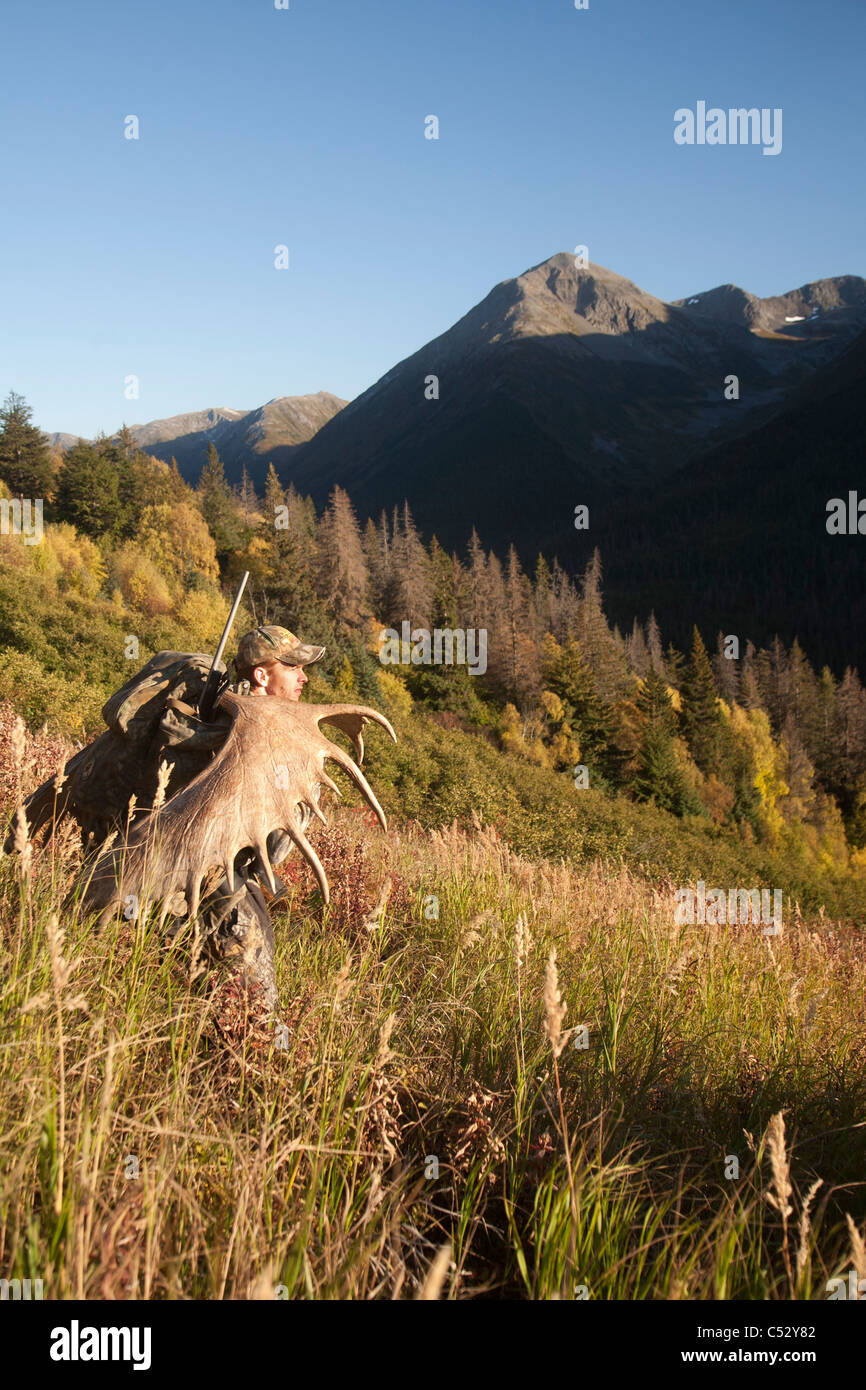 Hunting Trophy Mount High Resolution Stock Photography and Images - Alamy