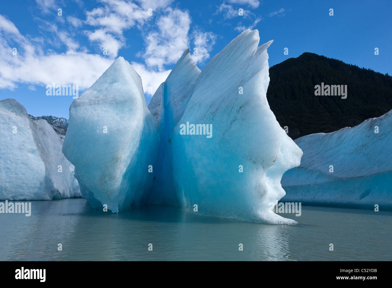 Sunny view of icebergs and Mendenhall Glacier terminus in Mendenhall ...