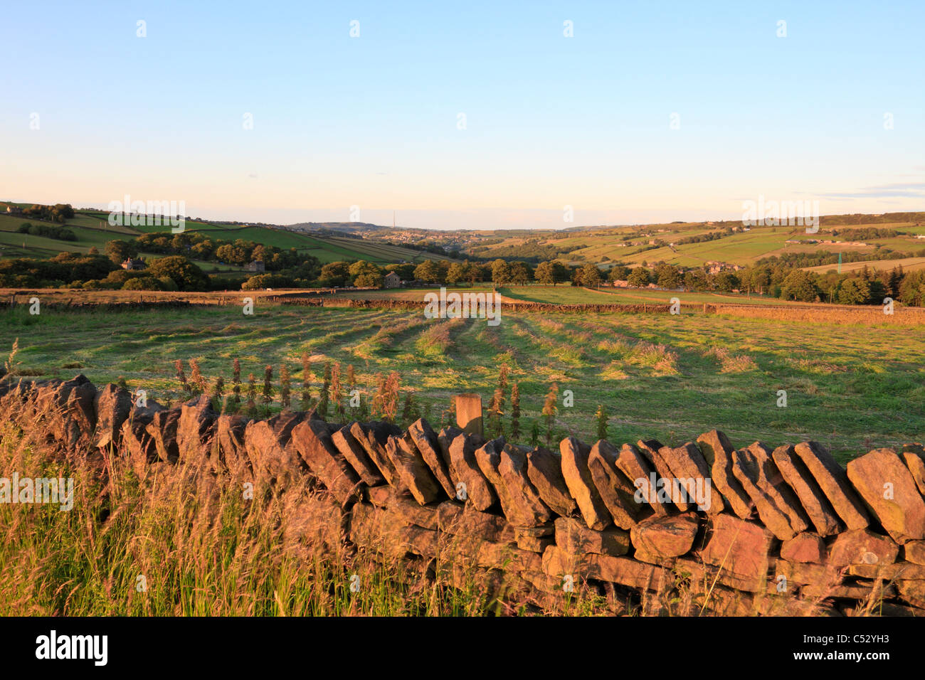 Early evening mown silage field in the Holme Valley near Holmfirth ...