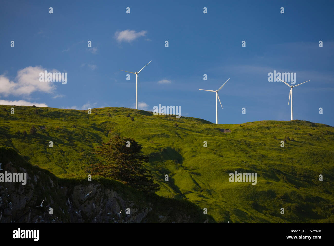 Pillar Mountain Wind Project wind turbines stand on Pillar Mountain on ...