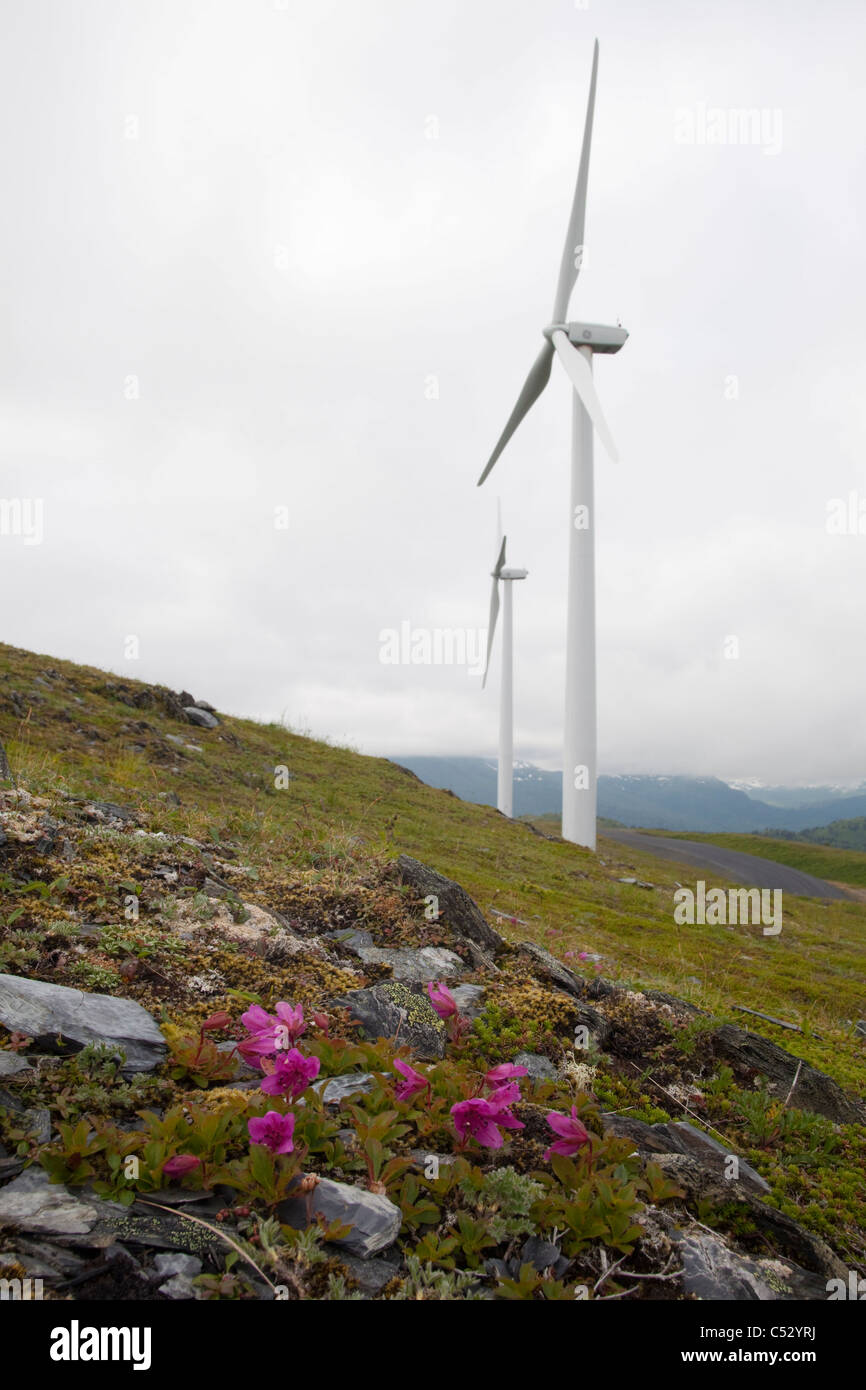 Pillar Mountain Wind Project wind turbines stand on Pillar Mountain on ...