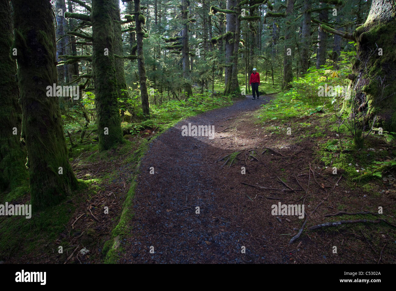 Woman hiking through Sitka Spruce trees around Lake Gertrude in Fort ...