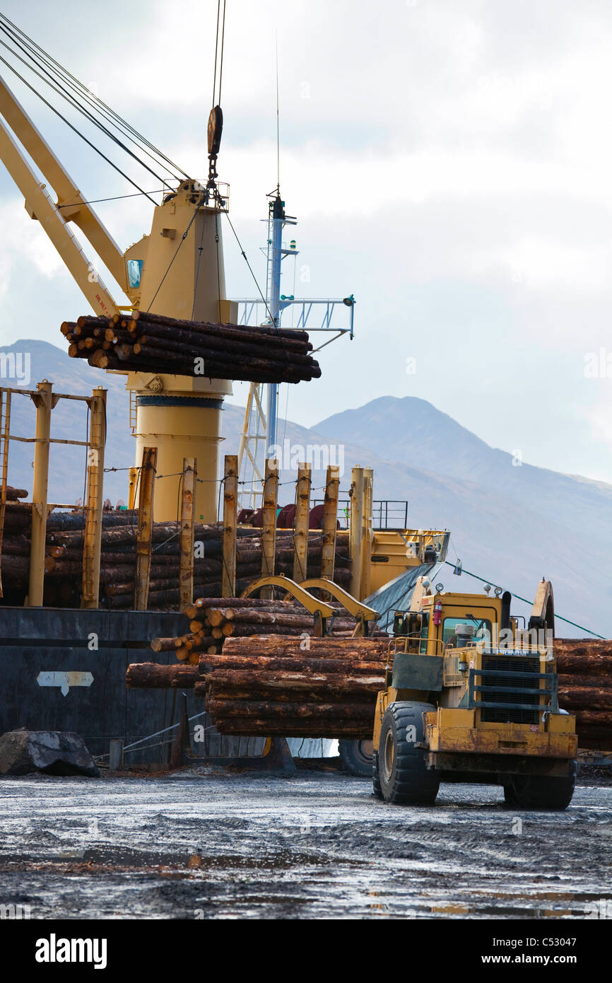 Log ship being loaded with Sitka Spruce from Chiniak and Sequel Point ...