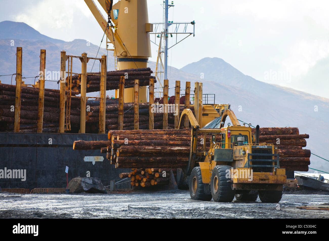 Log ship being loaded with Sitka Spruce from Chiniak and Sequel Point ...