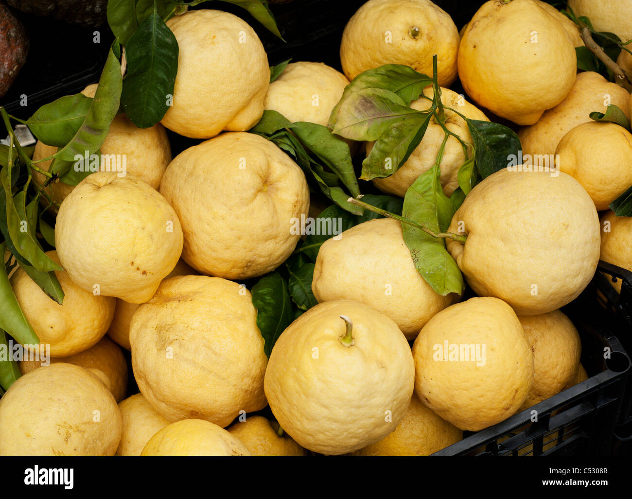 Rome, Italy - Citrons a at farmers market Stock Photo - Alamy