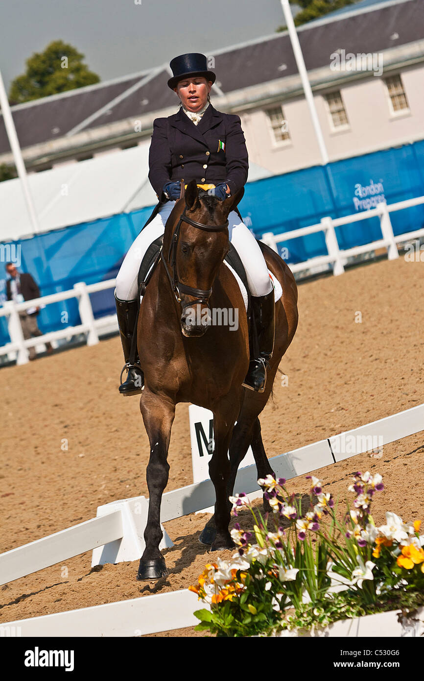 Dressage olympics hi-res stock photography and images - Alamy