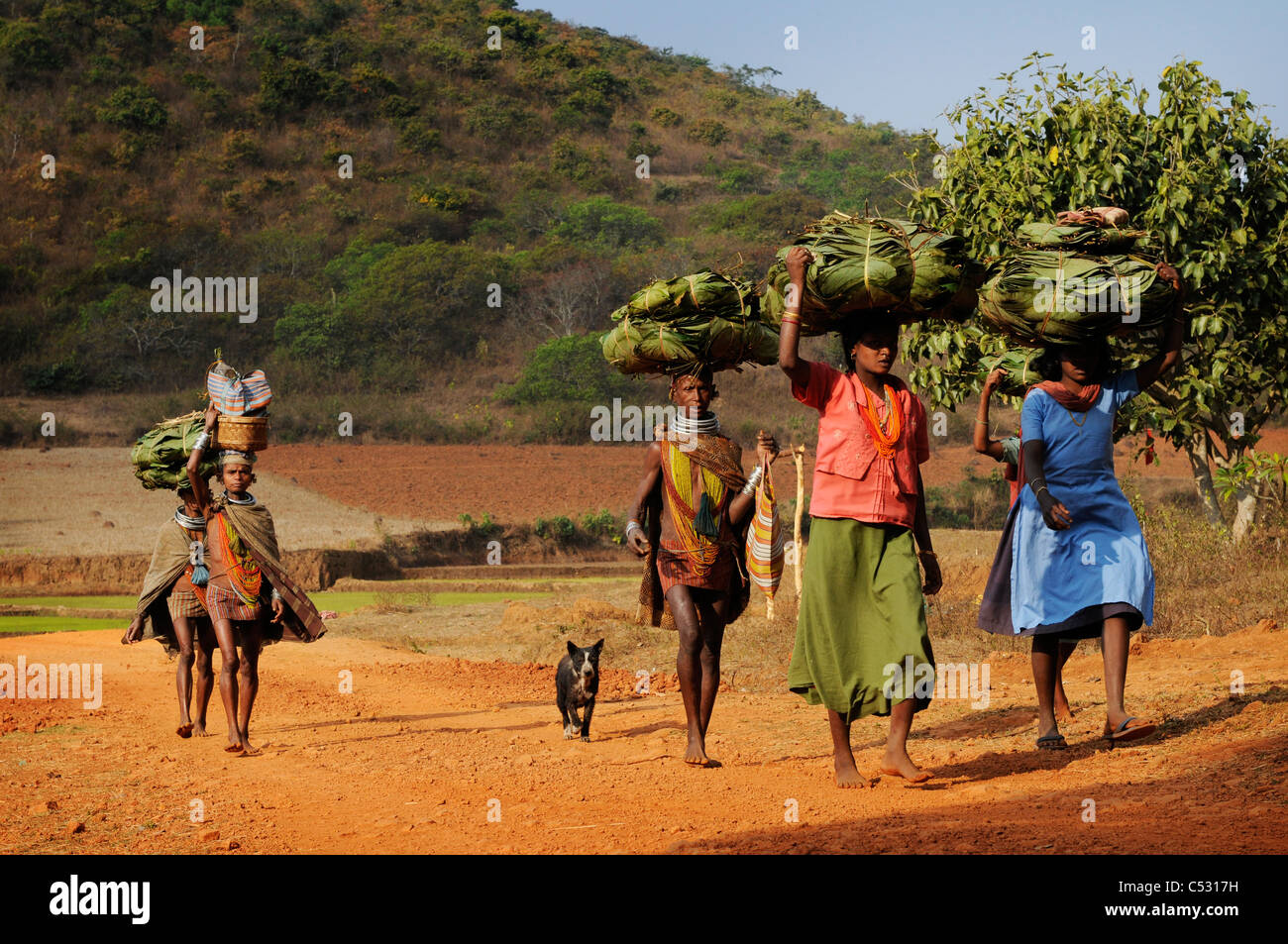Bonda tribal people in the Indian state of Orissa Stock Photo - Alamy