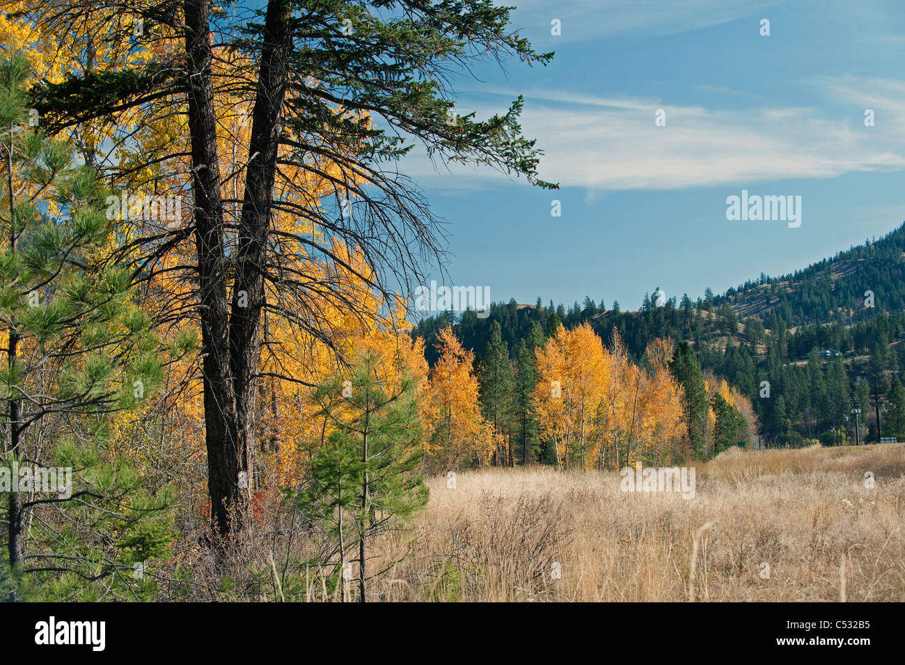 Princeton british columbia hi-res stock photography and images - Alamy
