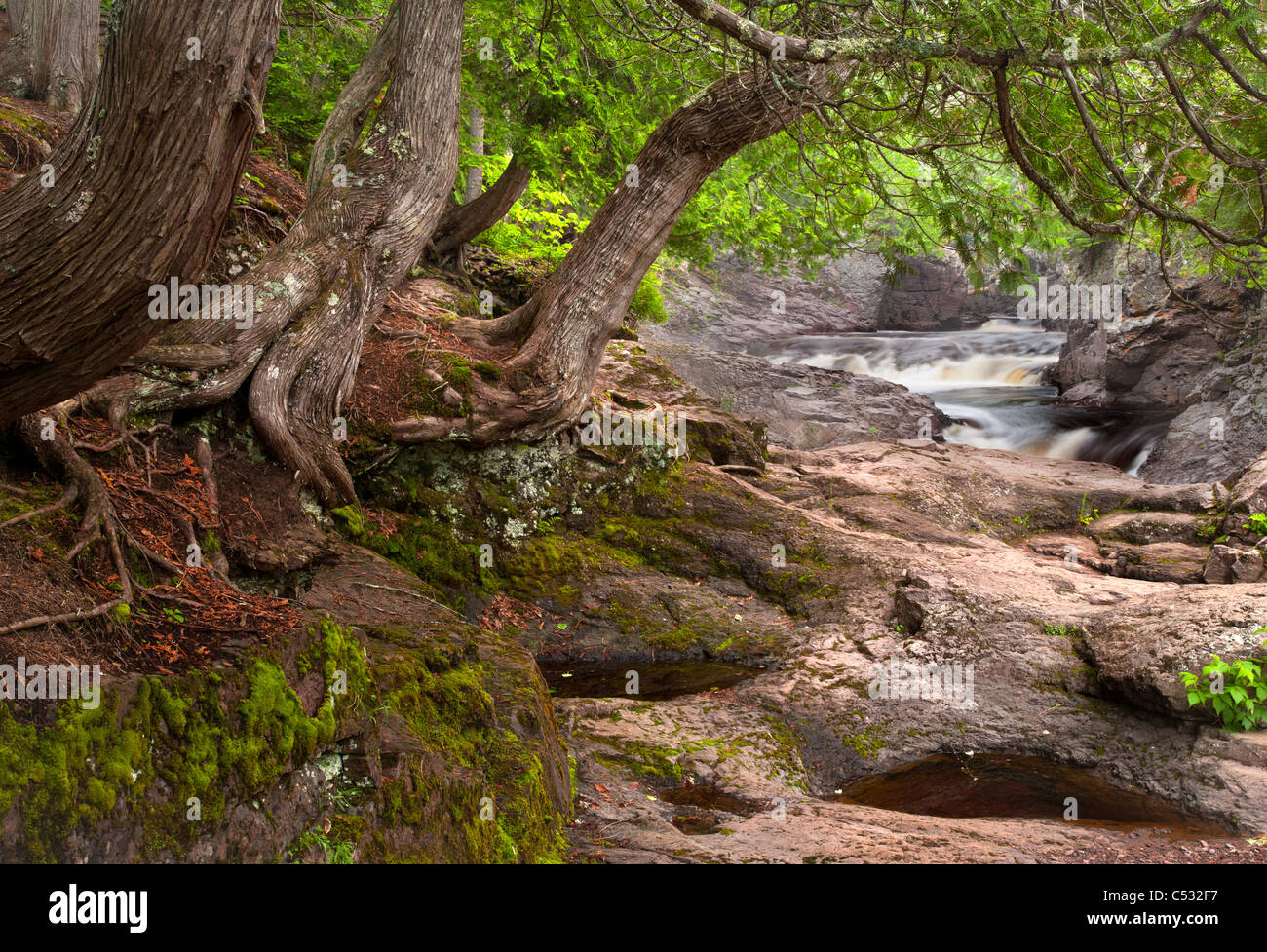 Cascade River, Cascade River State Park, Minnesota Stock Photo - Alamy