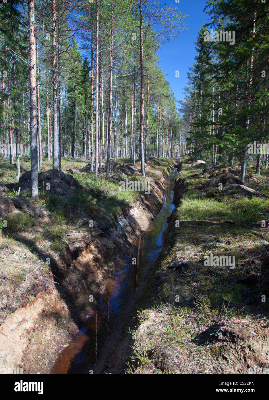 Trenching in the forest to improve tree growth in wet areas , Finland ...