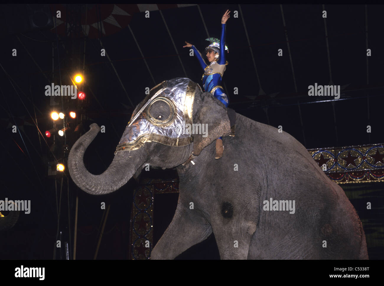 Circus elephant woman hi-res stock photography and images - Alamy