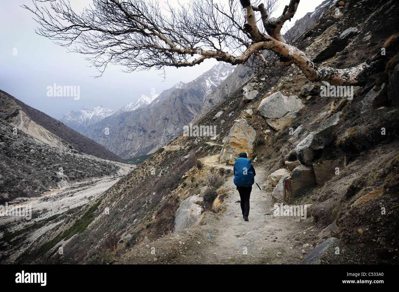 A scene in the Indian Himalaya, on the trail leading to Gaumukh - the ...