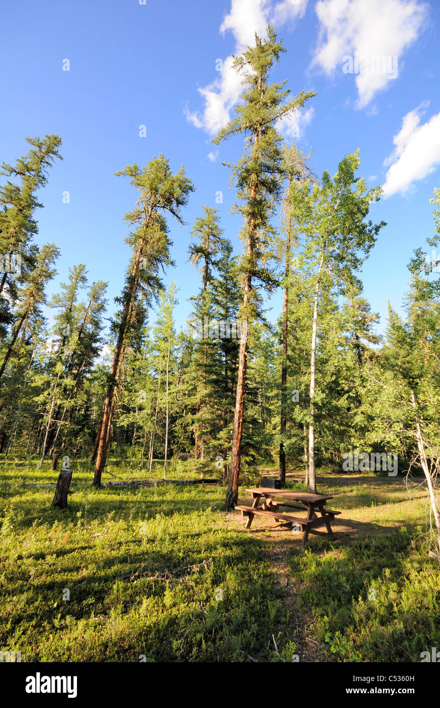 Camping in Meadow Lake Provincial Park, Saskatchewan, Canada Stock ...