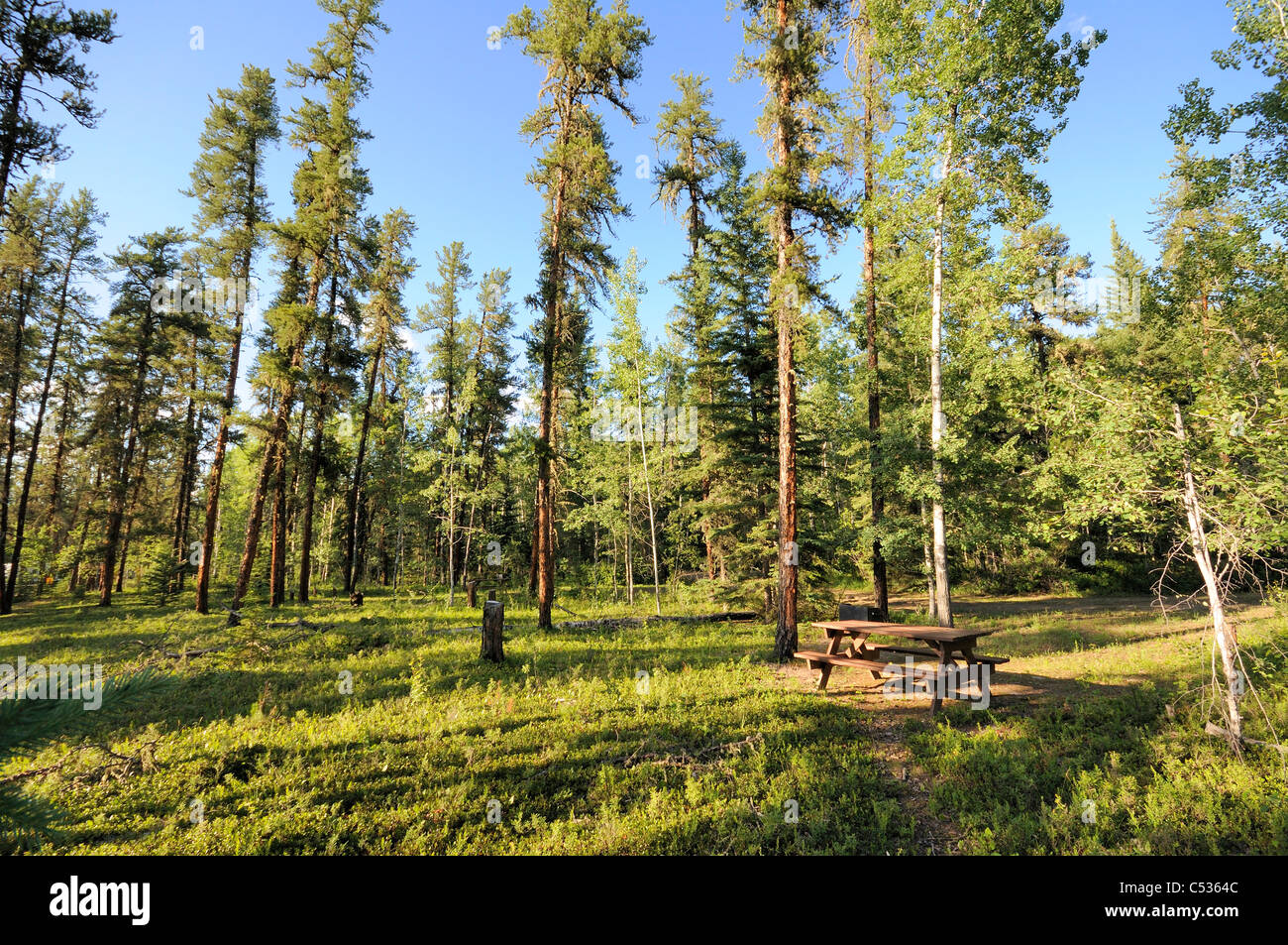 Canada camping hi-res stock photography and images - Alamy