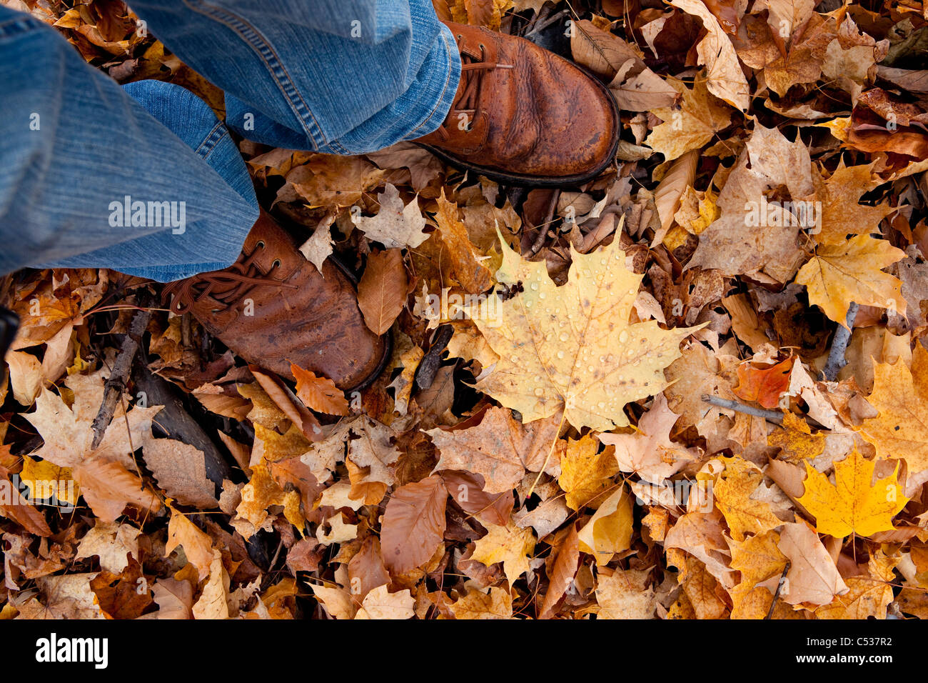 Boots dew hi-res stock photography and images - Alamy